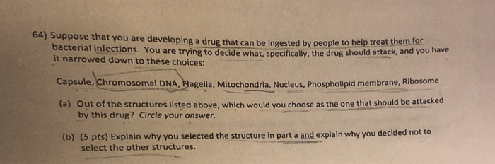 Solved can someone help me with this answer, please disguard | Chegg.com