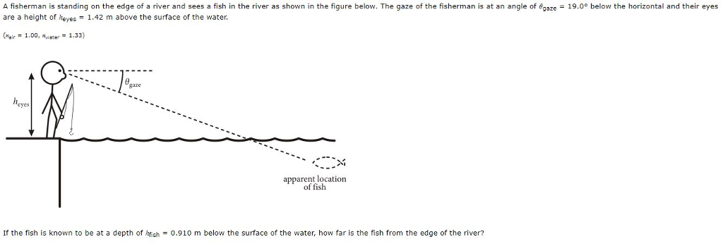 Solved A fisherman is standing on the edge of a river and | Chegg.com