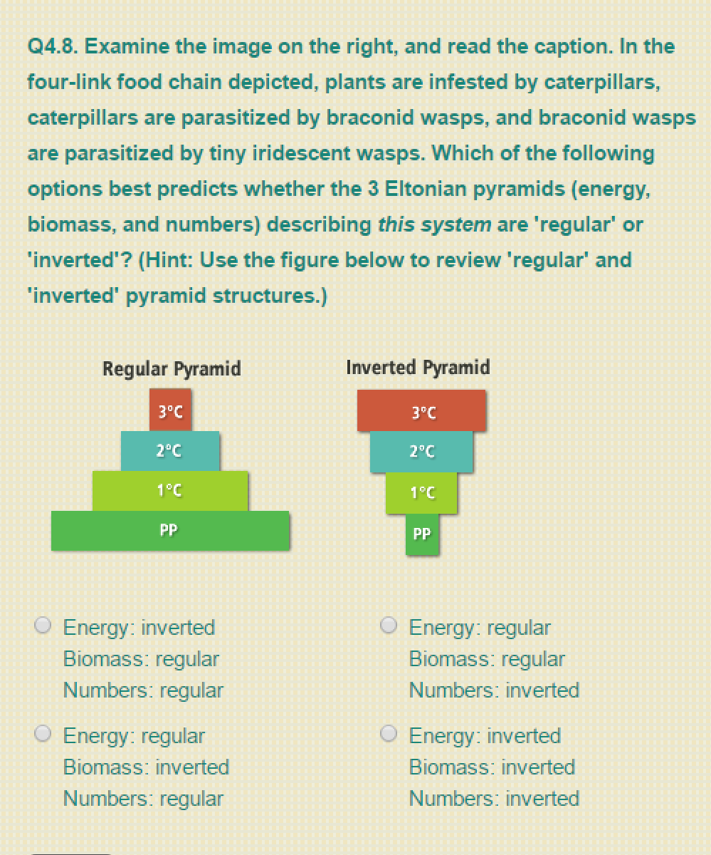 Solved: Q4.8. Examine The Image On The Right, And Read The... | Chegg.com
