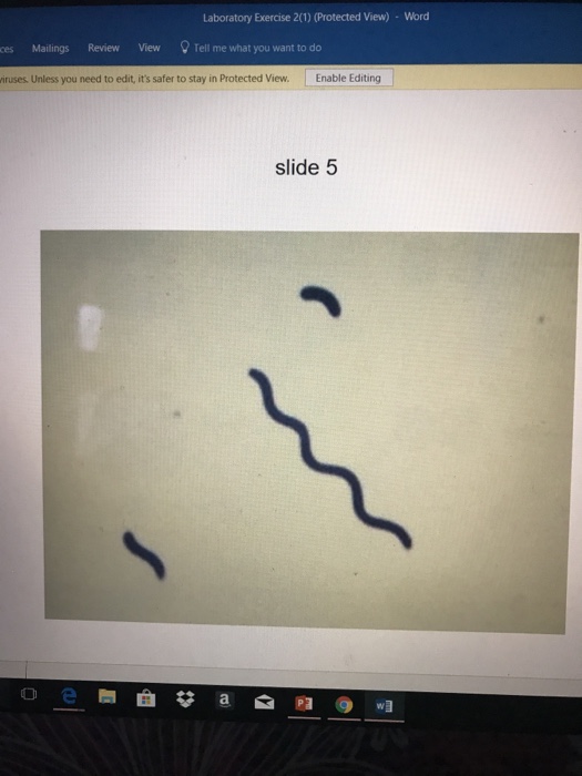 Solved GOWRY Laboratory Exercise 201) (Protected View) Word | Chegg.com