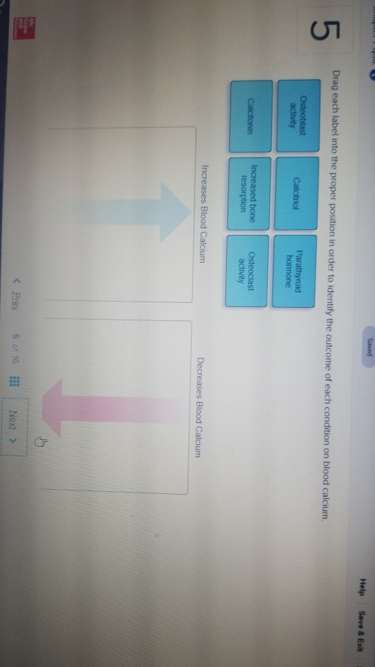 Solved Help Save & Exit Drag each label into the proper | Chegg.com