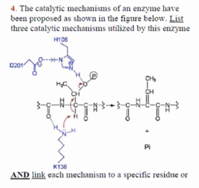 Solved 4. The catalytic mechanisms of an enzyme have been | Chegg.com