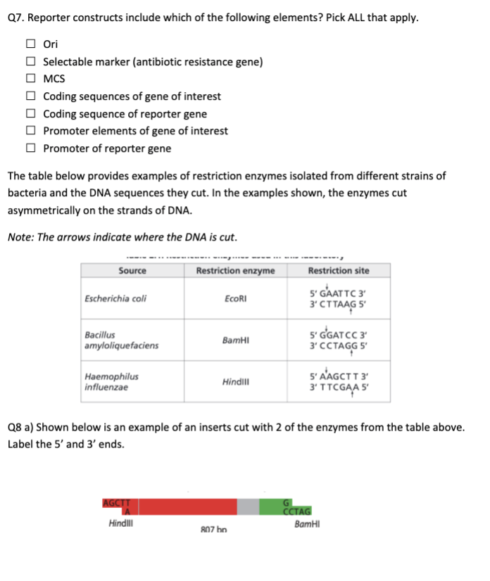 Solved Q7. Reporter constructs include which of the | Chegg.com