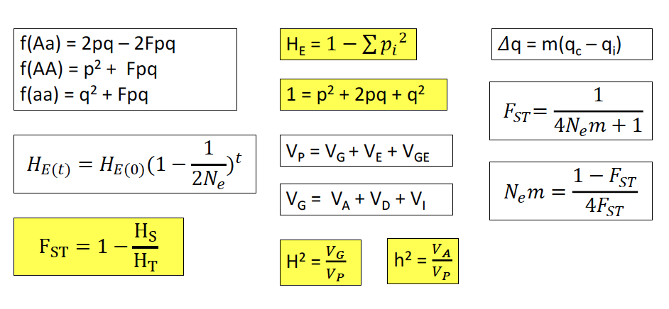 Solved Hp = 1 – Epi? 4q = m(q. –q;) f(Aa) = 2pq – 2Fpq f(AA) | Chegg.com Solved Hp = 1 – Epi? 4q = m(q. –q;) f(Aa) = 2pq – 2Fpq f(AA) | Chegg.com