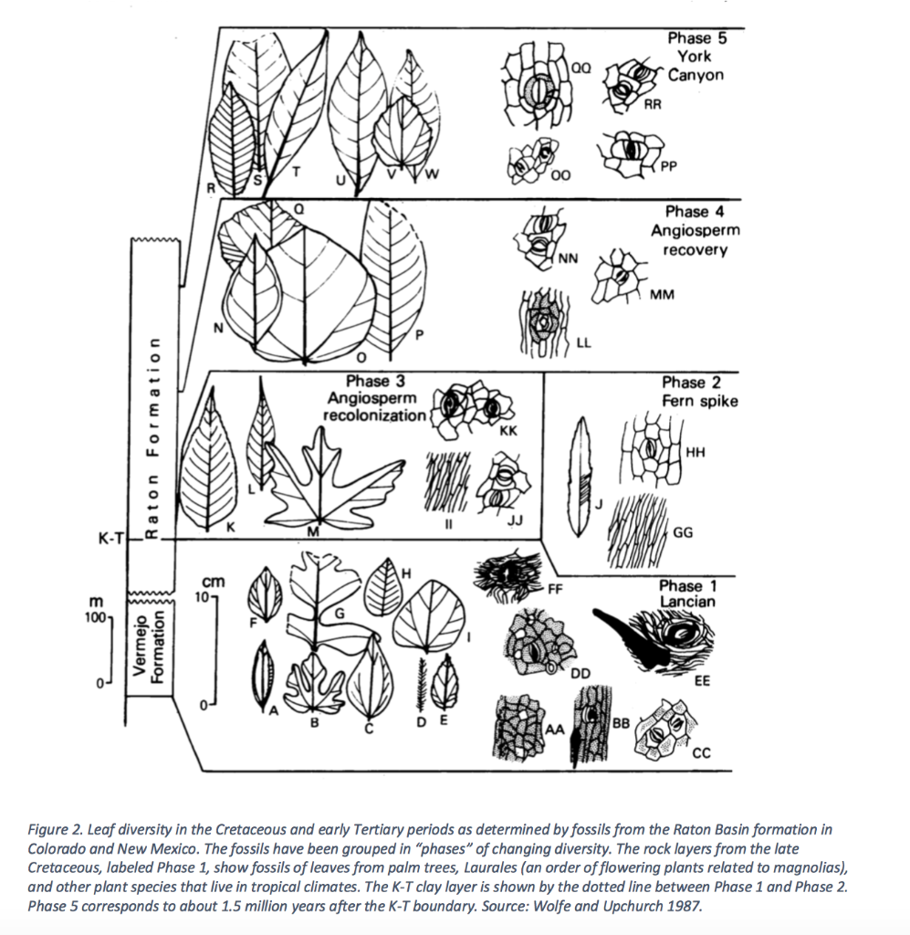 Solved 27 Table 1. Physiognomy of Vermejo and Raton leaf | Chegg.com