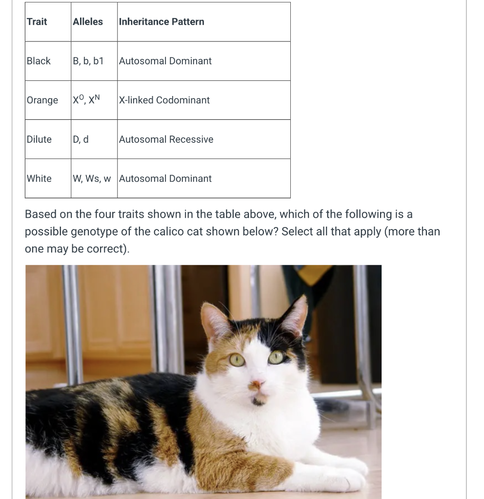 Solved Based on the four traits shown in the table above, | Chegg.com