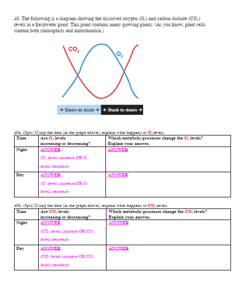 Solved 40. The following is a diagram showing the dissolved | Chegg.com
