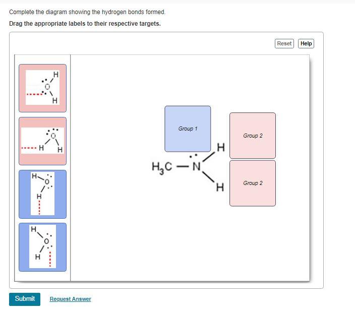 Solved Select the diagram that shows the hydrogen bonds | Chegg.com