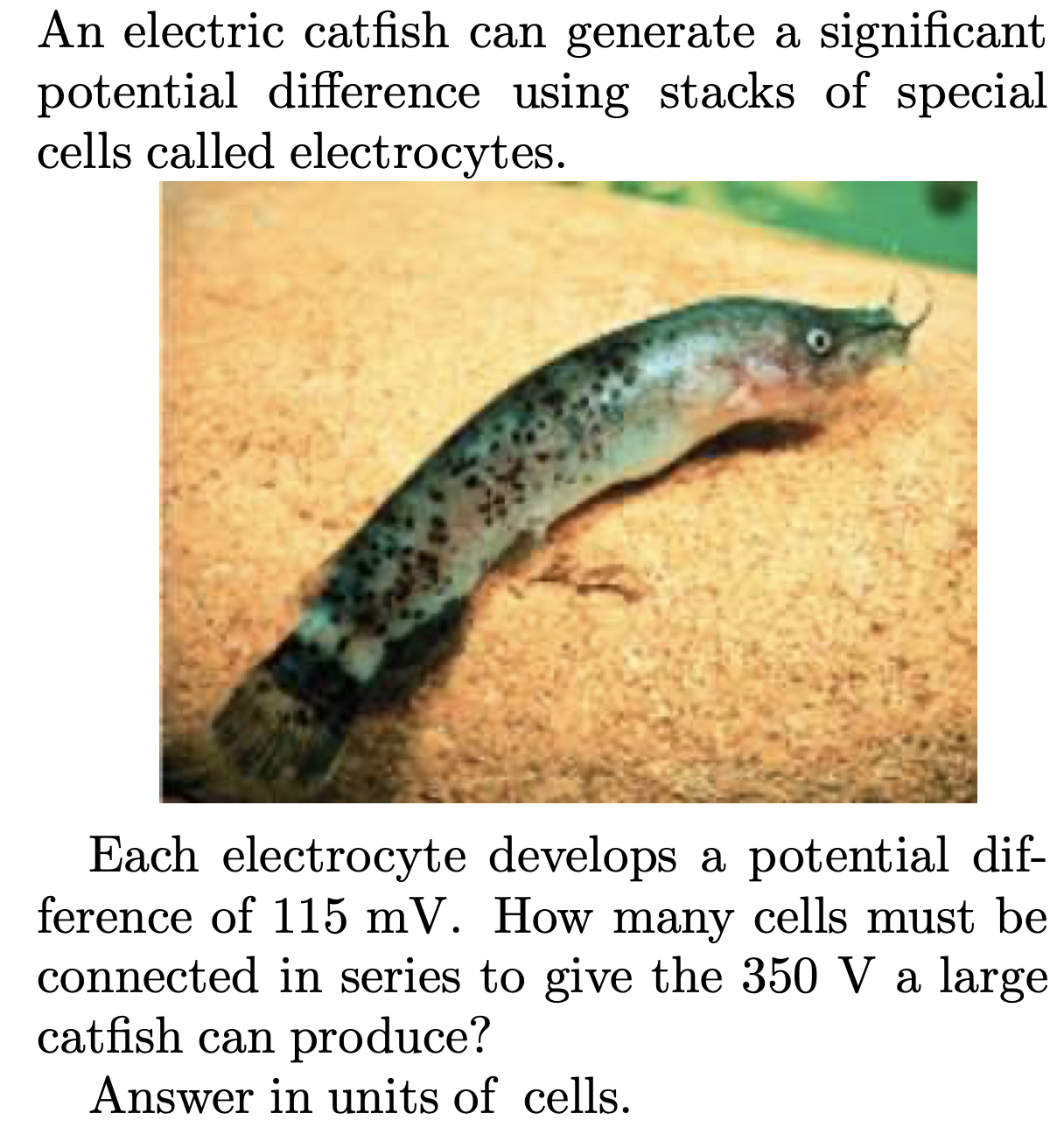 Solved An electric catfish can generate a significant | Chegg.com
