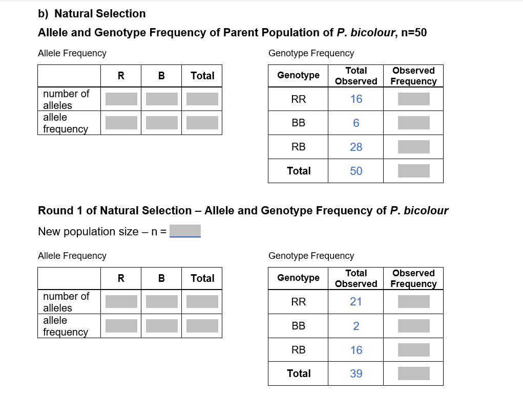 Solved b) Natural Selection Allele and Genotype Frequency of | Chegg.com