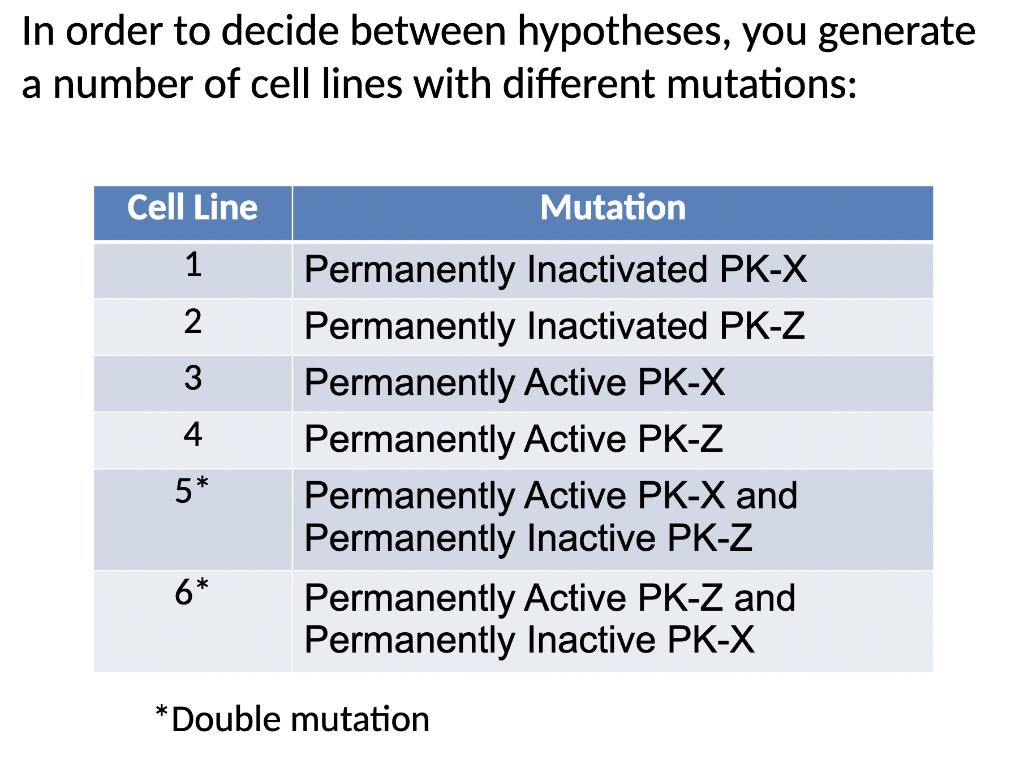 Complete the table below: 1) In the mutation effect | Chegg.com