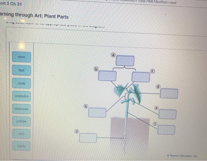 Solved ODIeMIDE 108879061&offset-next nit 2 Ch 31 rning | Chegg.com