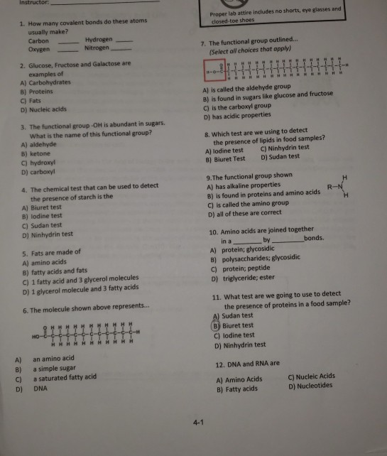Solved Instructor Proper lab attire includes no shorts, eye | Chegg.com