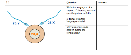 Solved 3.5. Answer Question Write the karyotype of a zygote, | Chegg.com