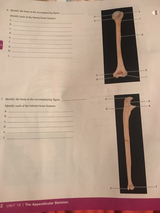 Solved Mastering Anatomy &Physiology POST-LAB Assignments | Chegg.com