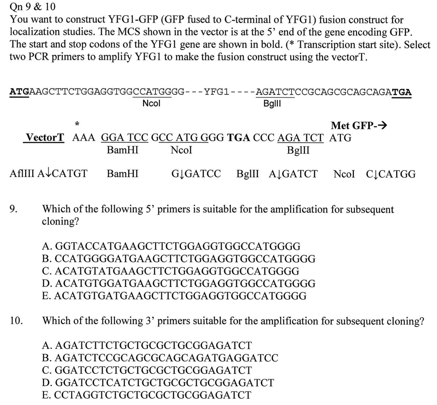 Solved Qn 9 \& 10 ﻿You want to construct YFG1-GFP (GFP fused | Chegg.com