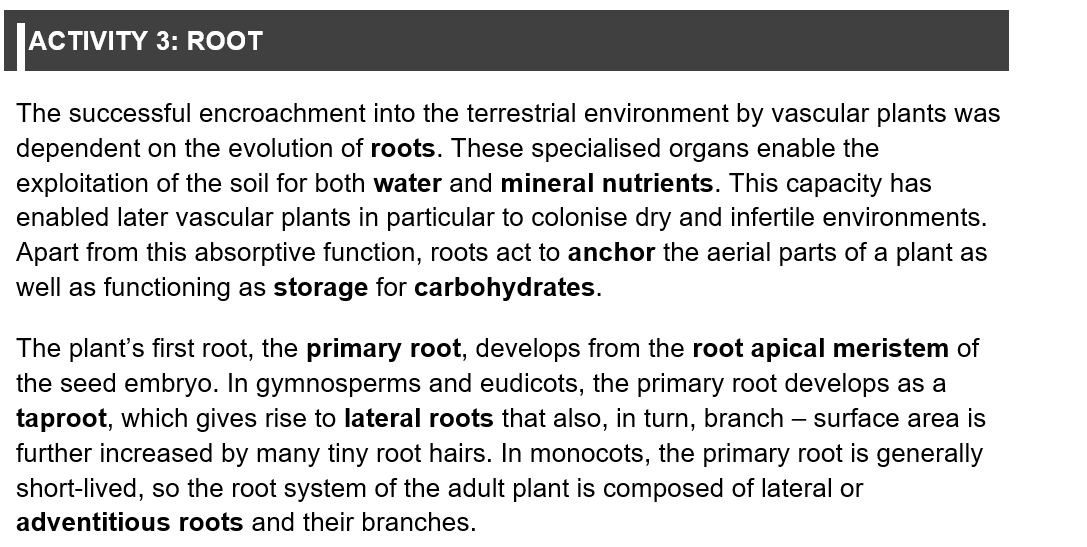 Solved ACTIVITY 3: ROOT The successful encroachment into the | Chegg.com