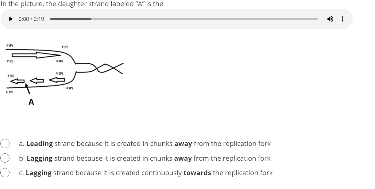 Solved In the picture, the daughter strand labeled "A" is | Chegg.com