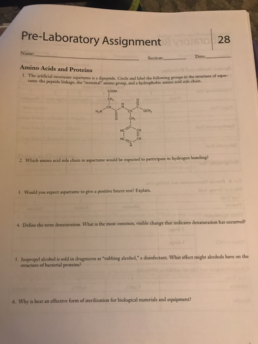 Solved Pre-Laboratory Assignment 28 Name: SectionDate Amino | Chegg.com