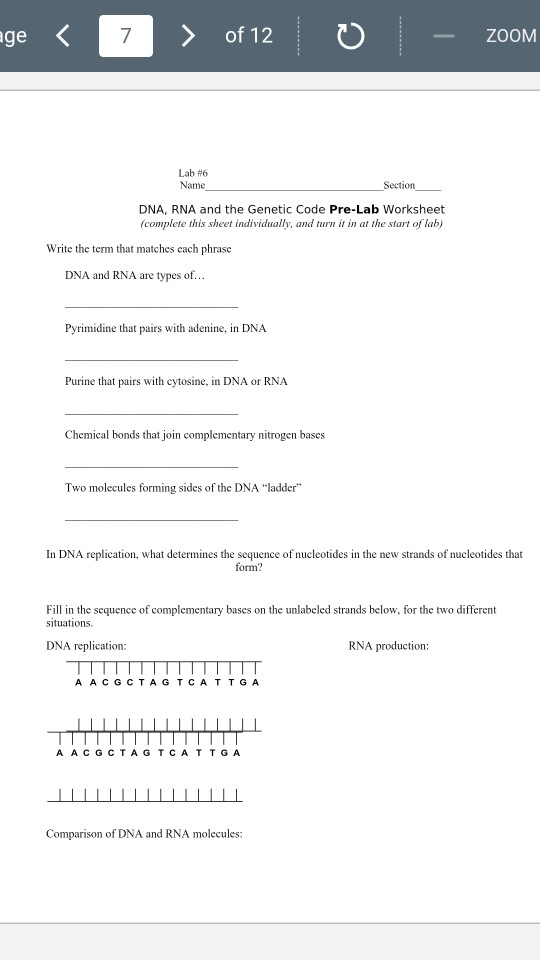Solved age of 120 - ZOOM Lab #6 Name Section DNA, RNA | Chegg.com