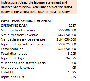 Instructions: Using the Income Statement and Balance | Chegg.com