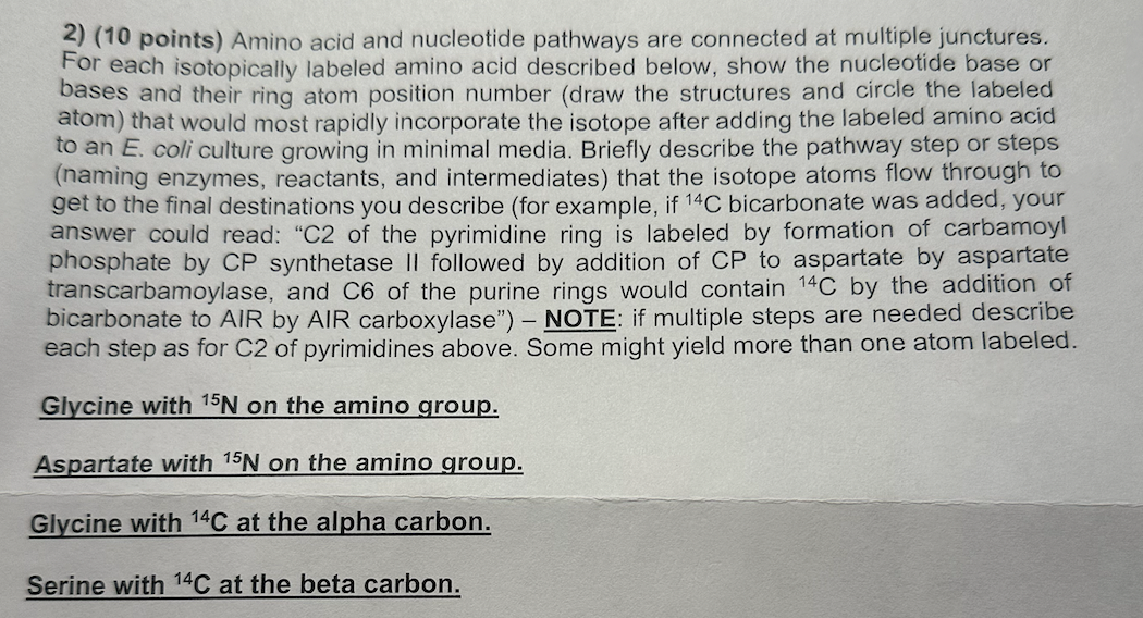 Solved For each isotopically labeled amino acid described | Chegg.com