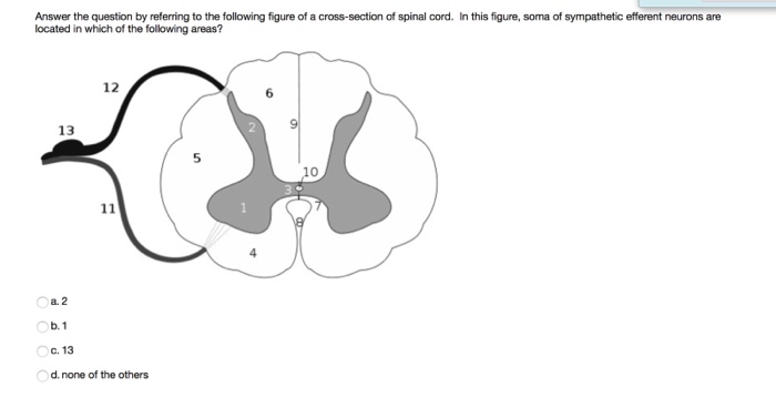 Solved Answer the question by referring to the following | Chegg.com
