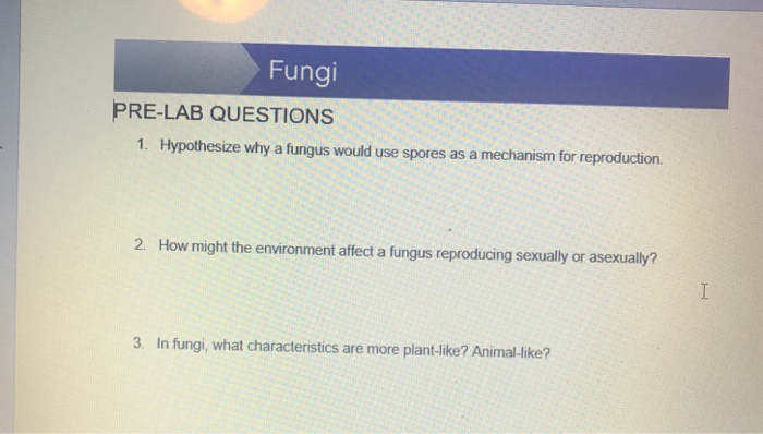 Solved Fungi PRE-LAB QUESTIONS 1. Hypothesize why a fungus | Chegg.com