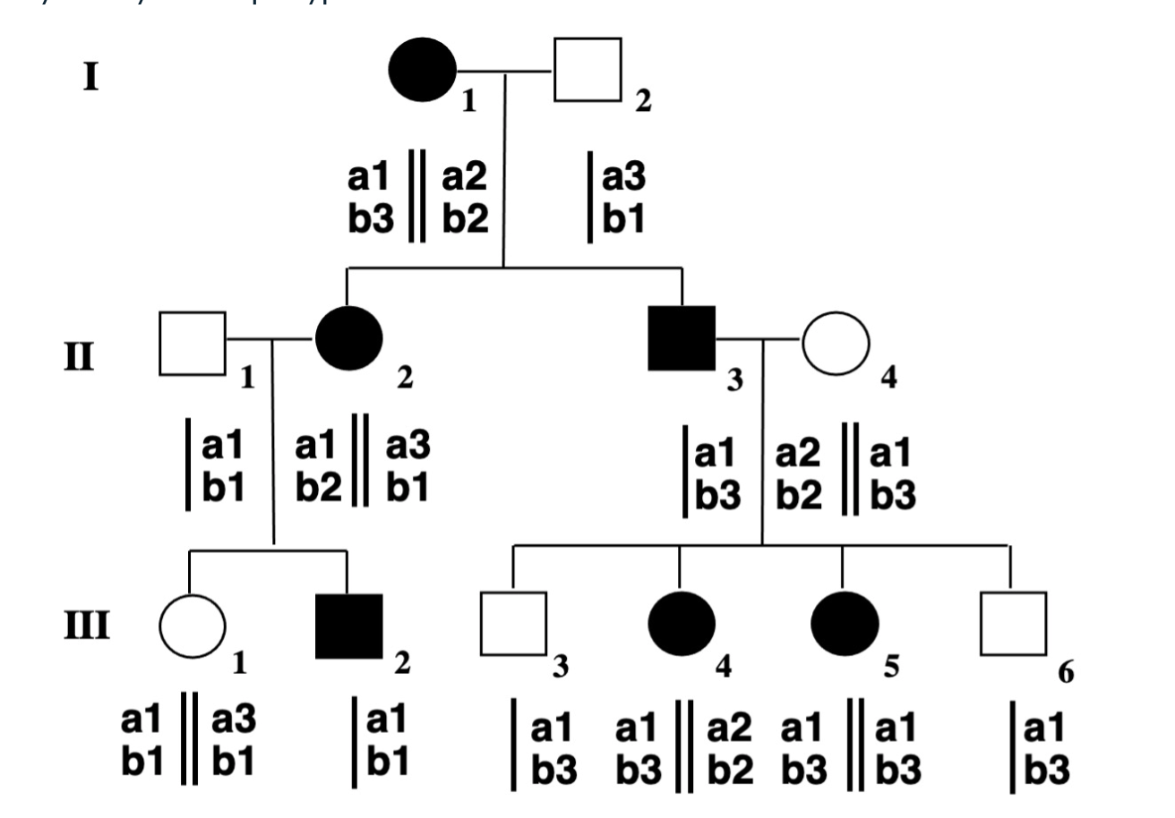Solved In the pedigree below, the following haplotypes have | Chegg.com