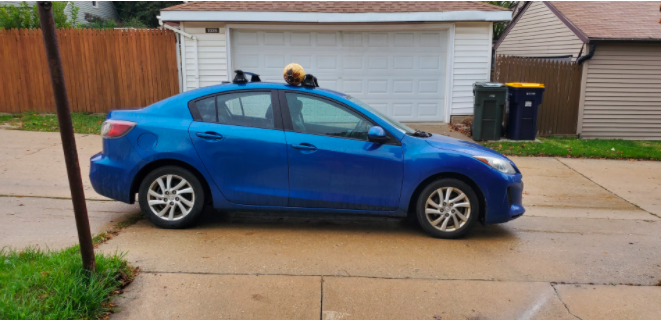 Solved a) Identify the object or set of objects that | Chegg.com