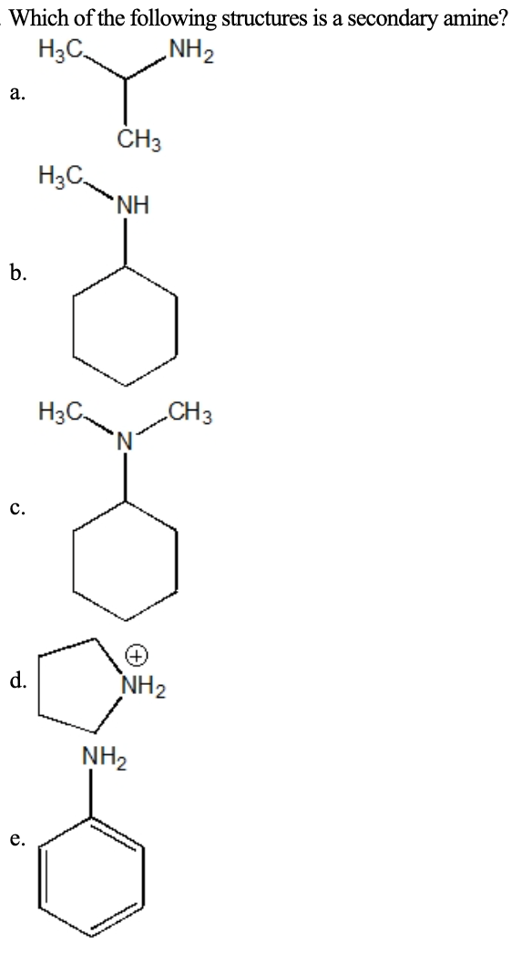 Solved Which of the following structures is a secondary | Chegg.com