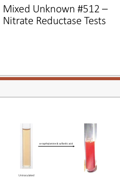 Solved Mixed Unknown Identification Form Unknown 'Patient | Chegg.com