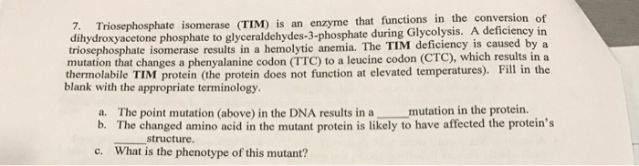 Solved Triosephosphate isomerase (TIM) is an enzyme that | Chegg.com