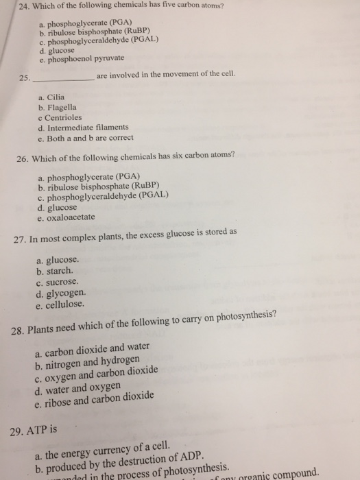 Solved 24. Which of the following chemicals has five carbon | Chegg.com