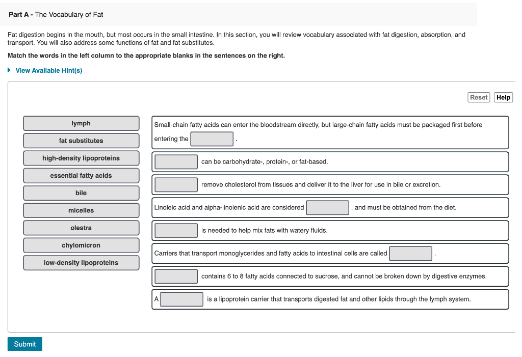 Solved Part A - The Vocabulary of Fat Fat digestion begins | Chegg.com