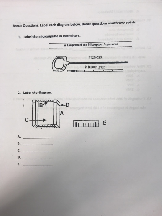 Solved Bonus Questions: Label each diagram below. Bonus | Chegg.com Solved Bonus Questions: Label each diagram below. Bonus | Chegg.com