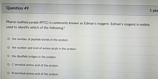 Solved Question 49 1 pts Phenyl isothiocyanate (PITC) is | Chegg.com