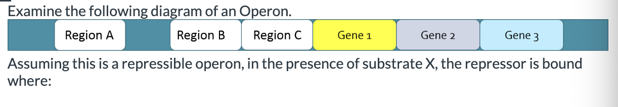 Solved Examine the following diagram of an Operon.Assuming | Chegg.com