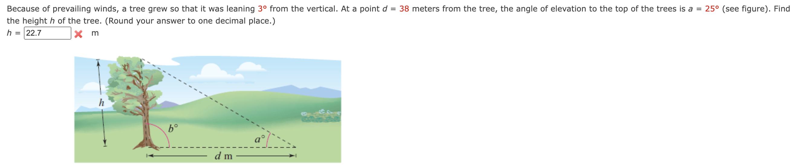 Solved the height h ﻿of the tree. (Round your answer to one | Chegg.com