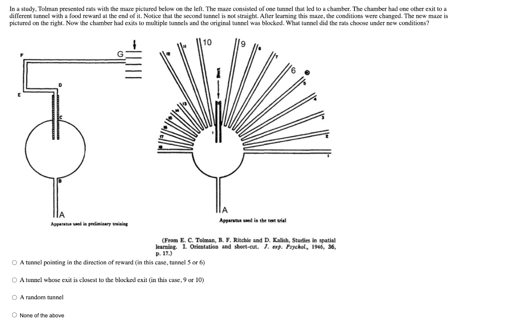Solved QUESTION 3 Elementary units, the most simple units of | Chegg.com