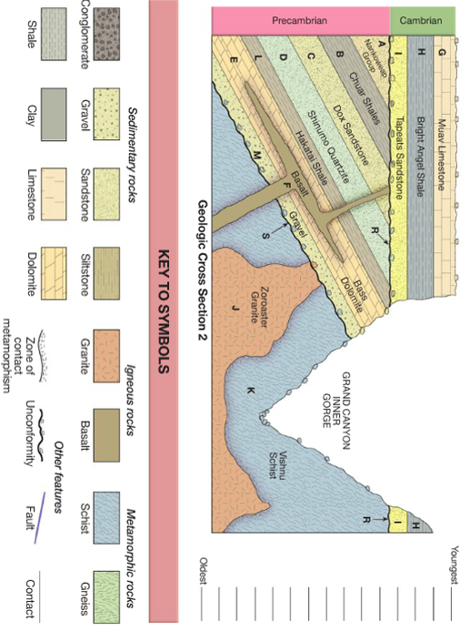 Solved Examine the Geologic Cross Sections and review the | Chegg.com