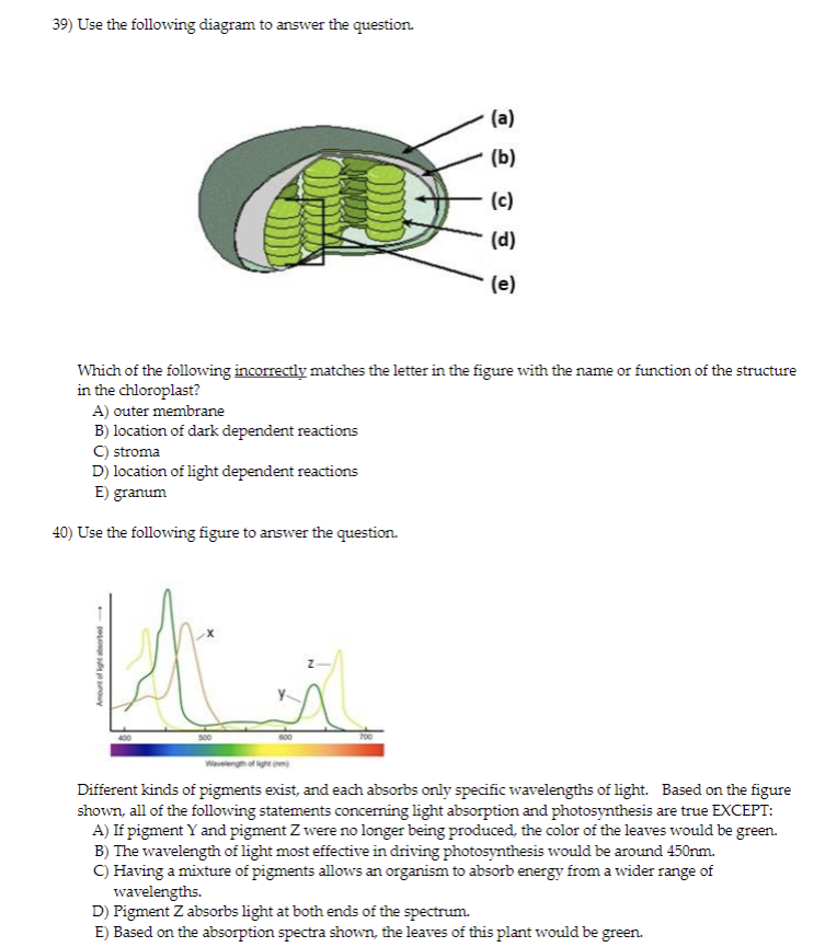 Solved 39) Use the following diagram to answer the question. | Chegg.com