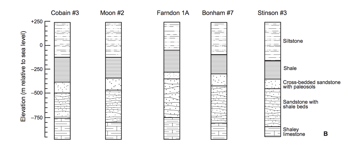 Solved A. Of the lithologies shown in Figure 1B (siltstone, | Chegg.com