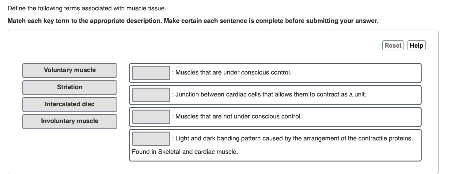 Solved Define the following terms associated with muscle | Chegg.com