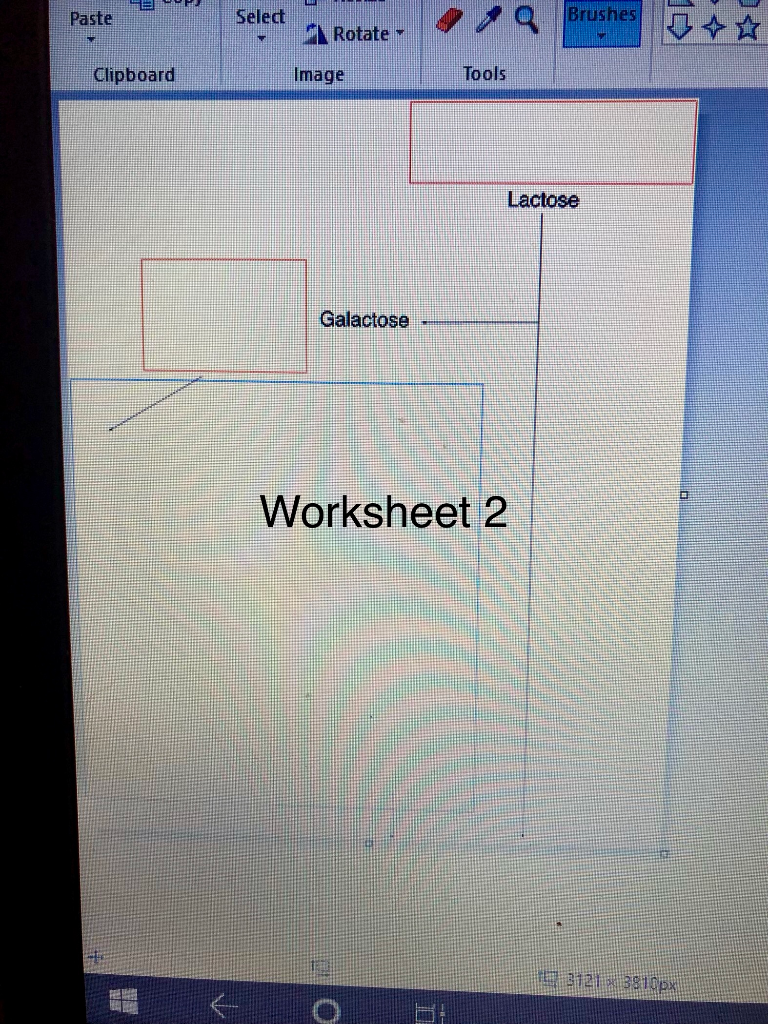 Lab 4: Pathway Building – Glycolysis Theory based | Chegg.com