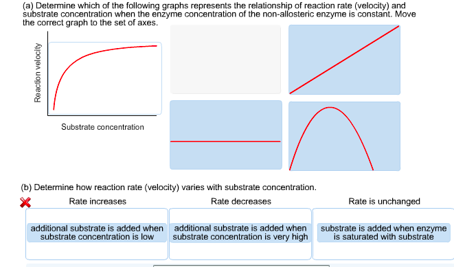 Solved (a) Determine which of the following graphs | Chegg.com Solved (a) Determine which of the following graphs | Chegg.com