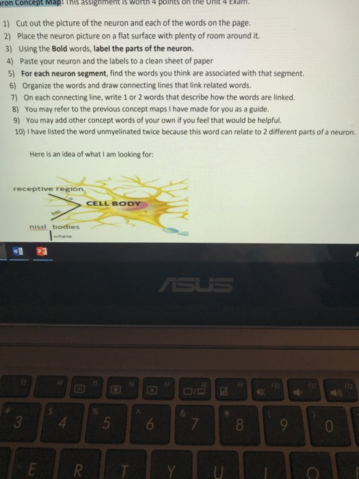 Solved ron Concept Map: This assignment is worth4 points on | Chegg.com