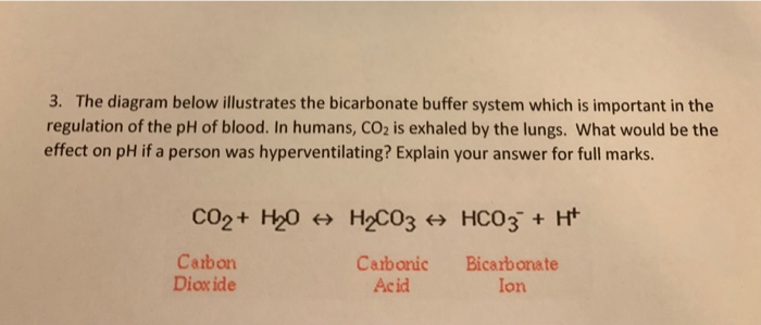 Solved 3. The diagram below illustrates the bicarbonate | Chegg.com