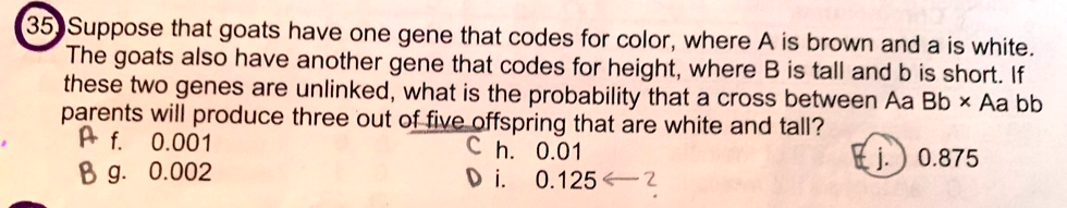 Solved Suppose that goats have one gene that codes for | Chegg.com