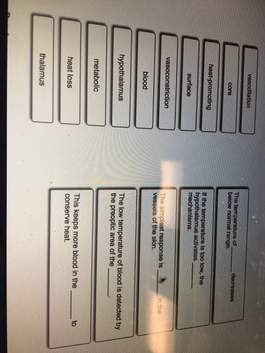 Solved In order to complete each sentence click and drag | Chegg.com